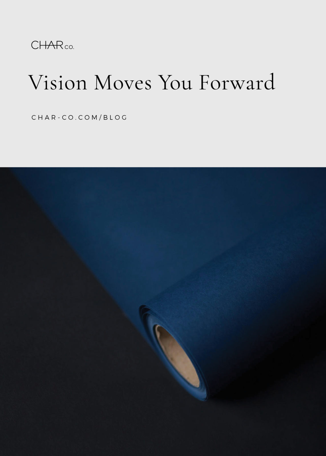 VISION MOVES YOU FORWARD - CHAR co.